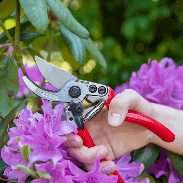Celebrate Mom with Berger! – German Tools | Knipex Tools | Wera Tools ...